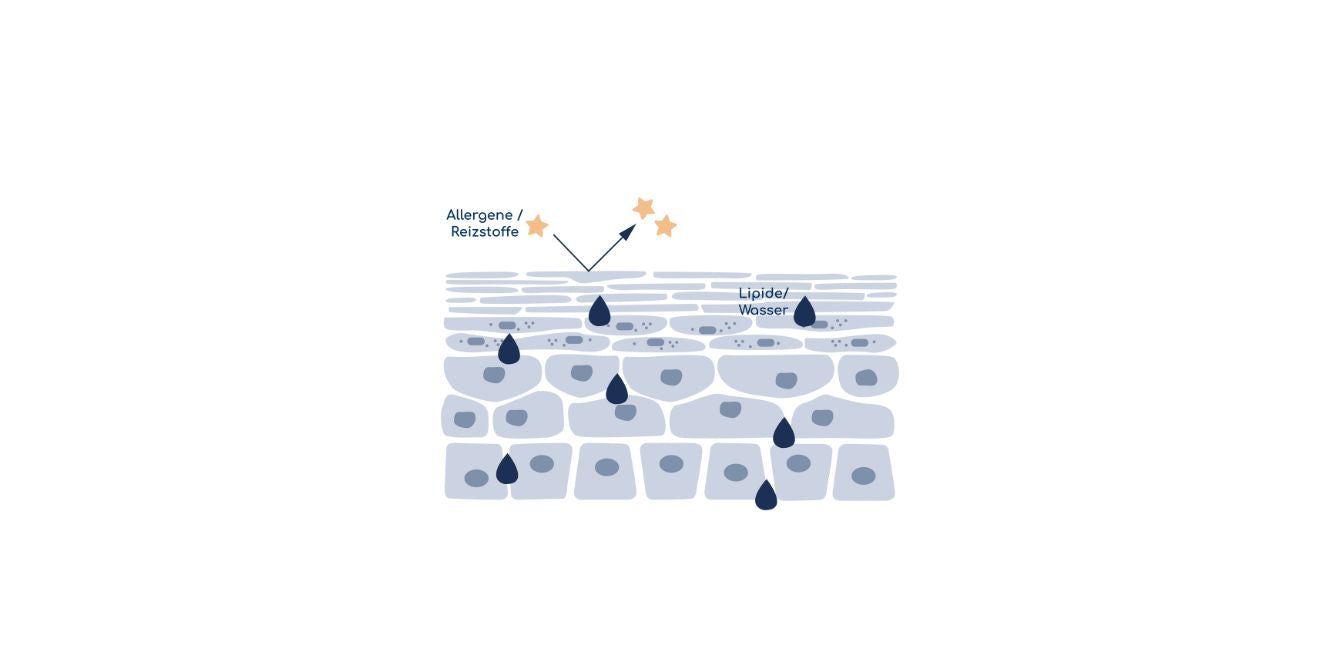 Neurodermatitis I Facts, Causes and Trigger Factors – das boep